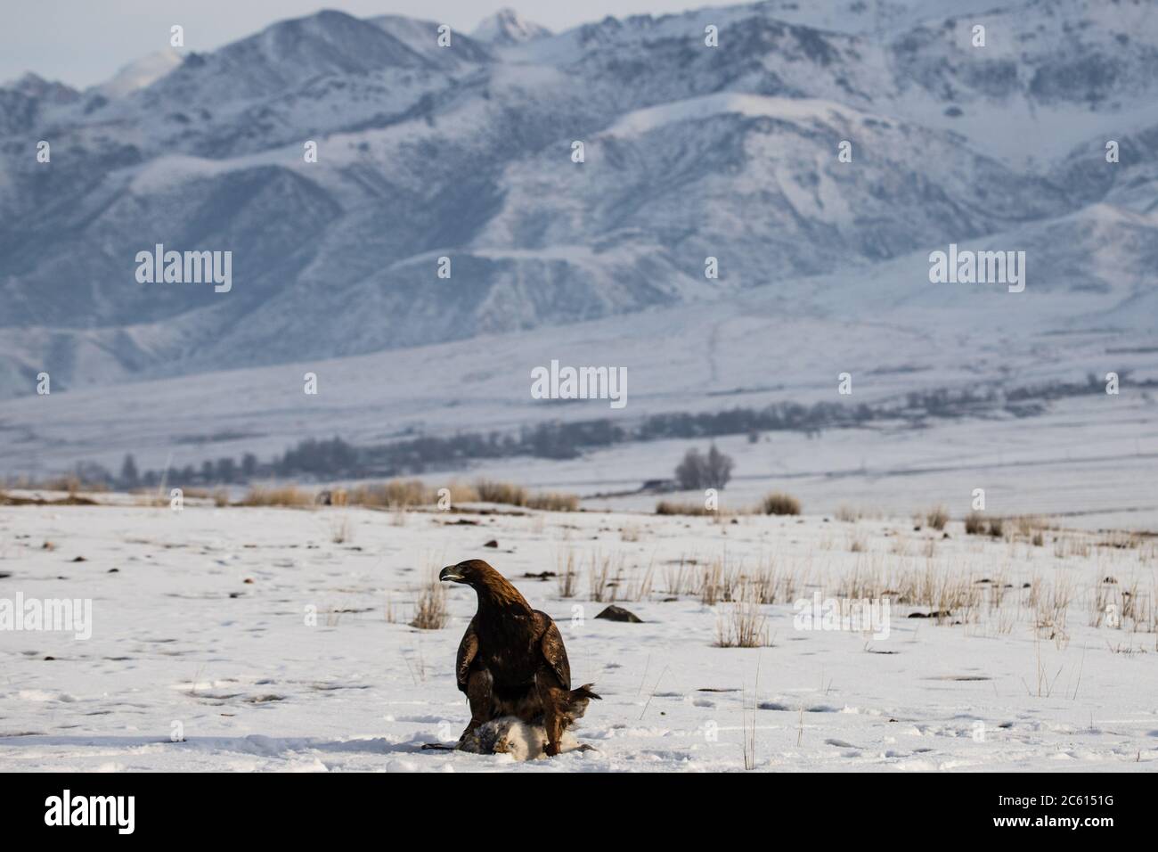 Scenes from Jiachy Yurt Camp on the South Shore of Issyk Kol in ...