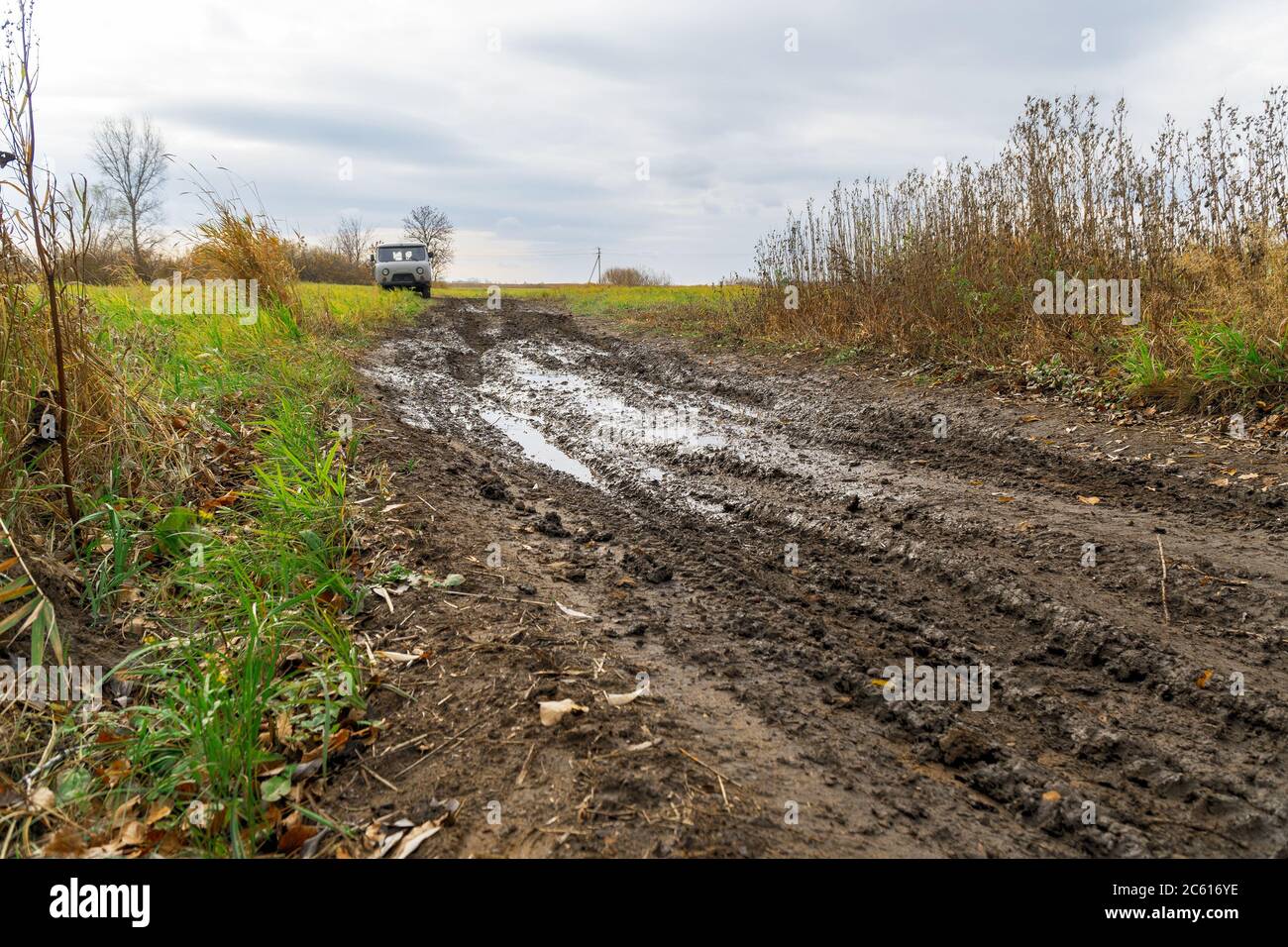 An impassable road, off-road track in autumn forest Stock Photo - Alamy