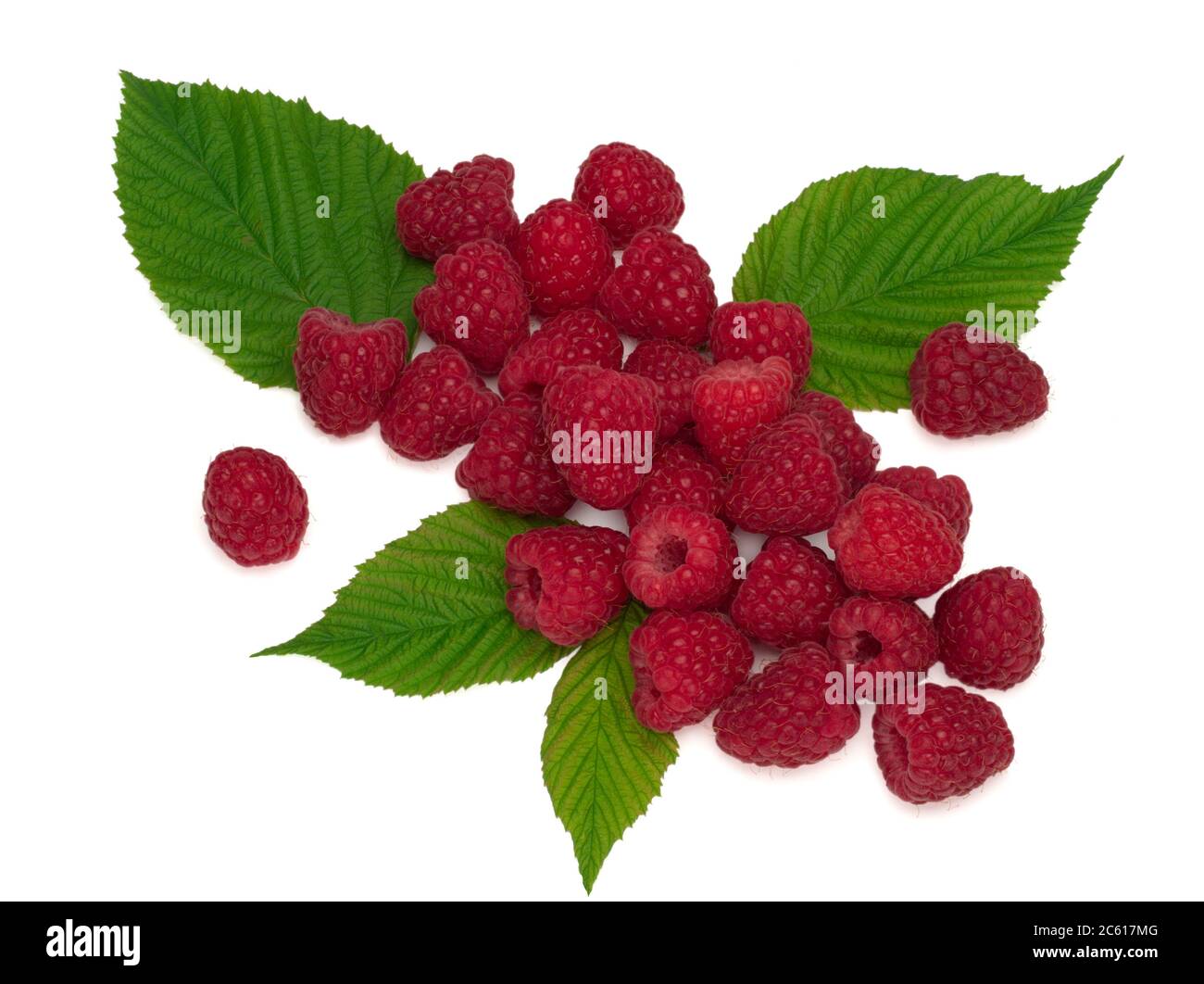Raspberry with leaves isolated on white background Stock Photo - Alamy
