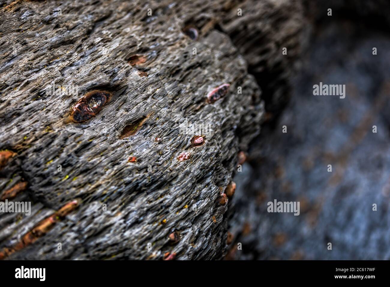 Tweed volcano hi-res stock photography and images - Alamy