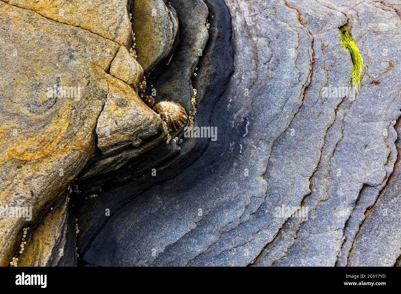 Tweed volcano hi-res stock photography and images - Alamy