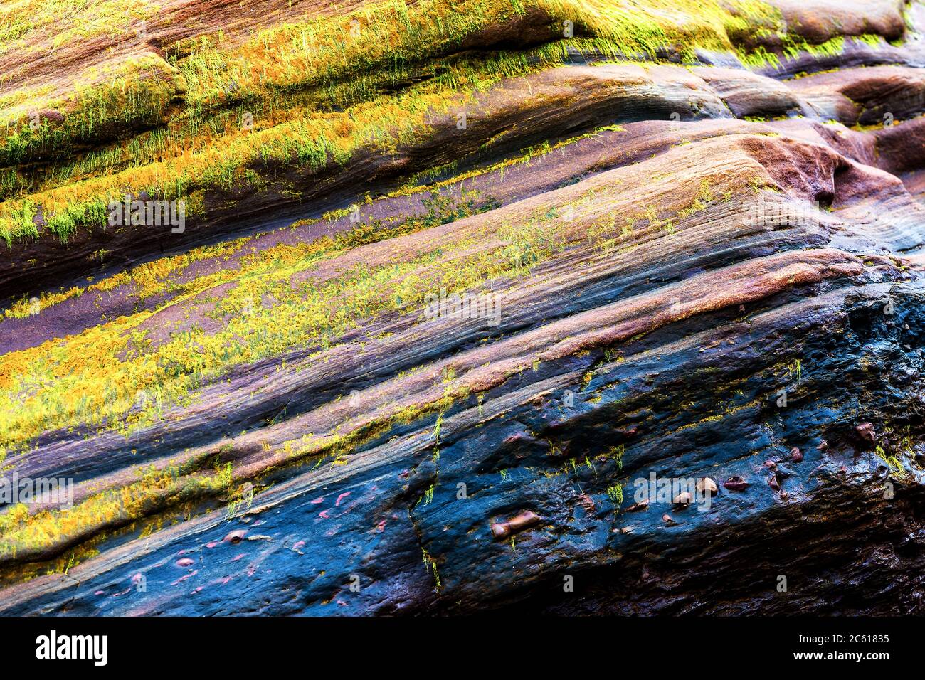 Tweed volcano hi-res stock photography and images - Alamy