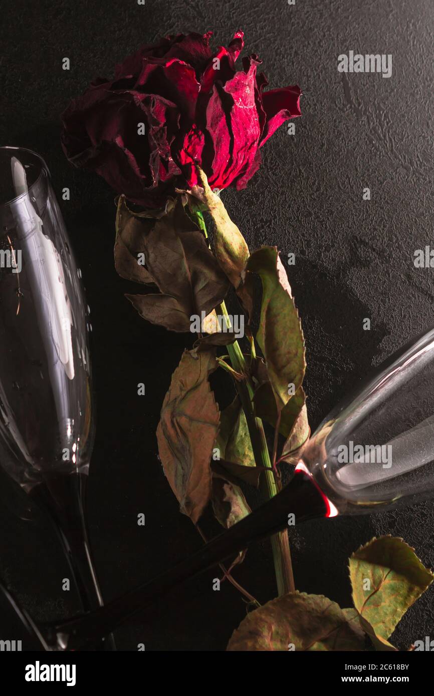dried rose red high contrast in a dark key with two flat champagne ...