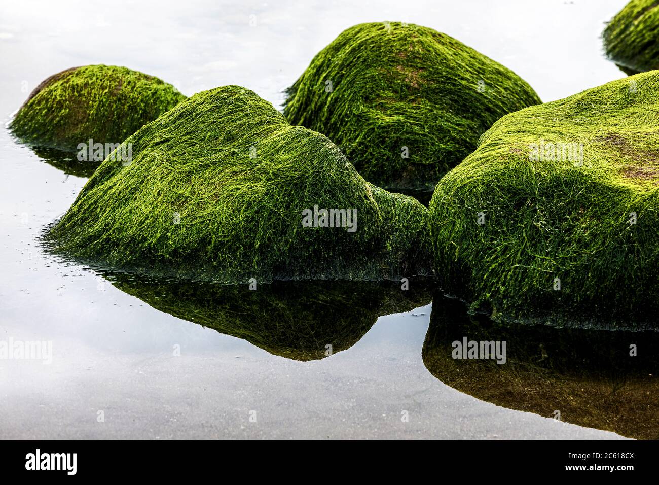 Sandstone rock spittal beach hi-res stock photography and images - Alamy
