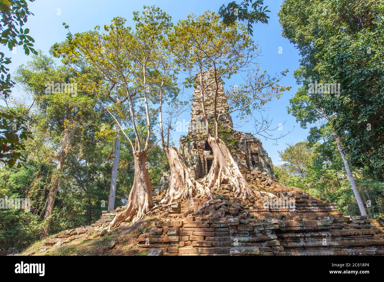 Ancient Preah Palilay temple in Angkor Thom and huge Banyan trees ...