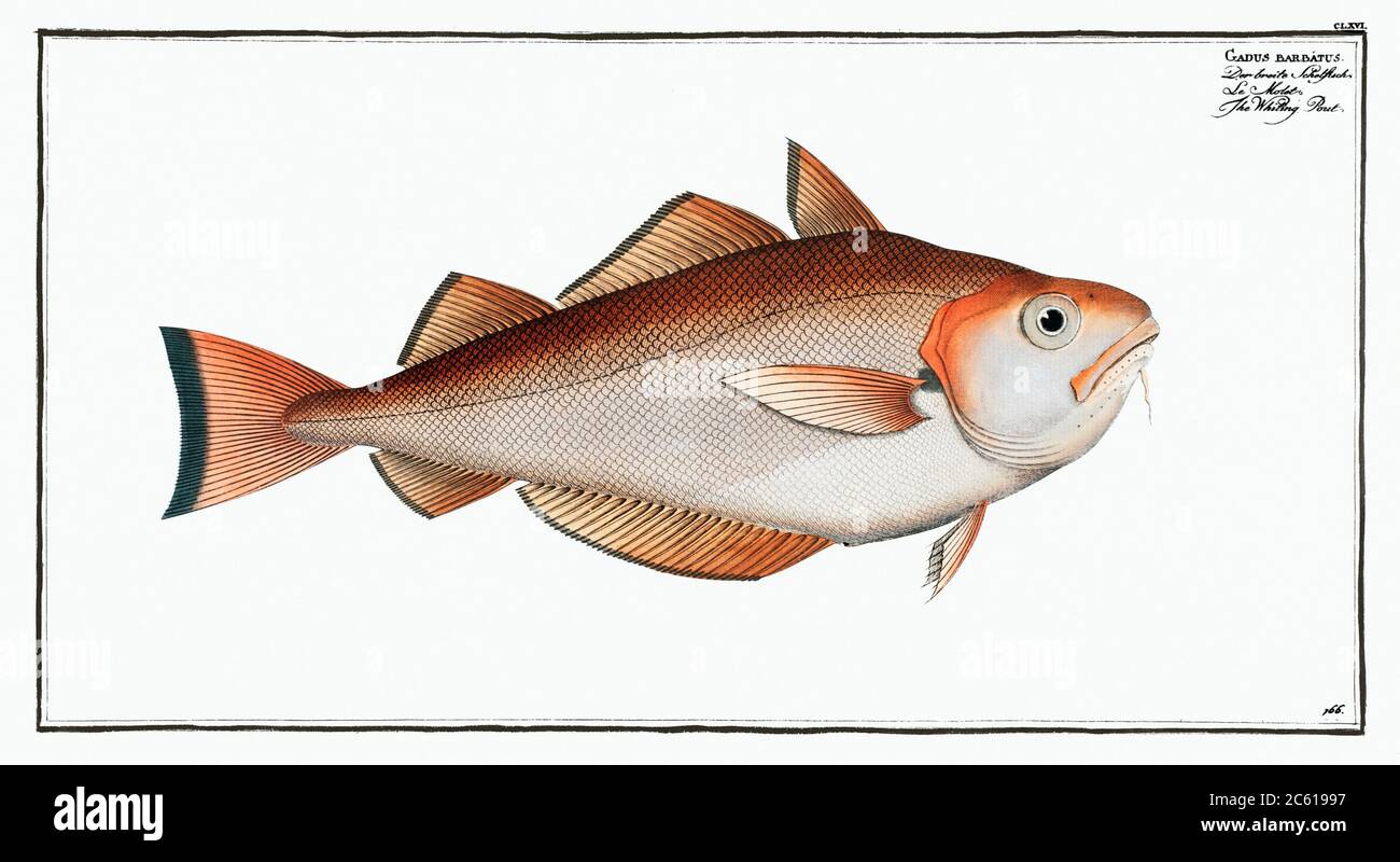 Pout Cartoon High Resolution Stock Photography and Images - Alamy