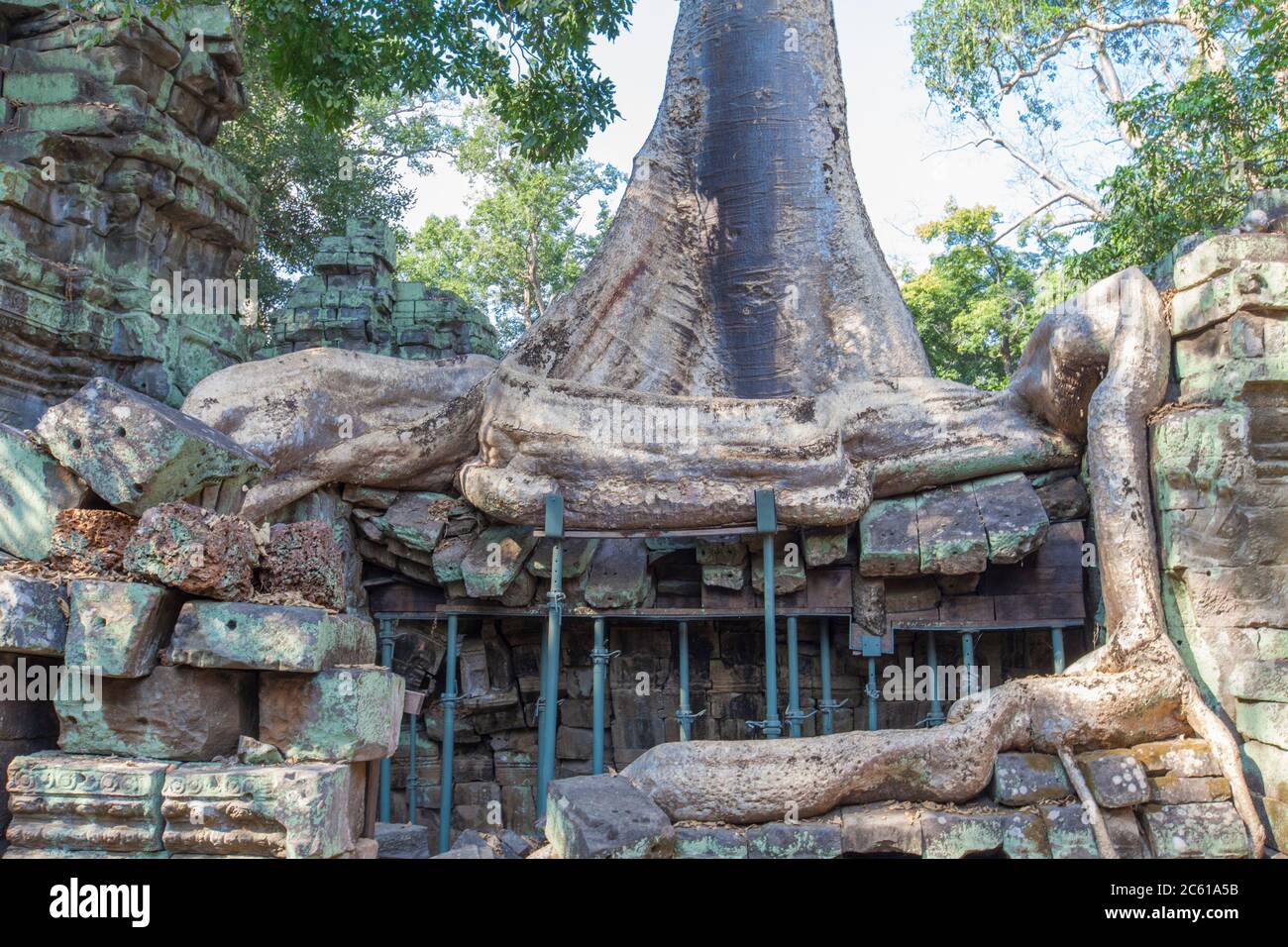 Ancient Khmer architecture ,Ta Prohm temple ruins hidden in jungle in ...