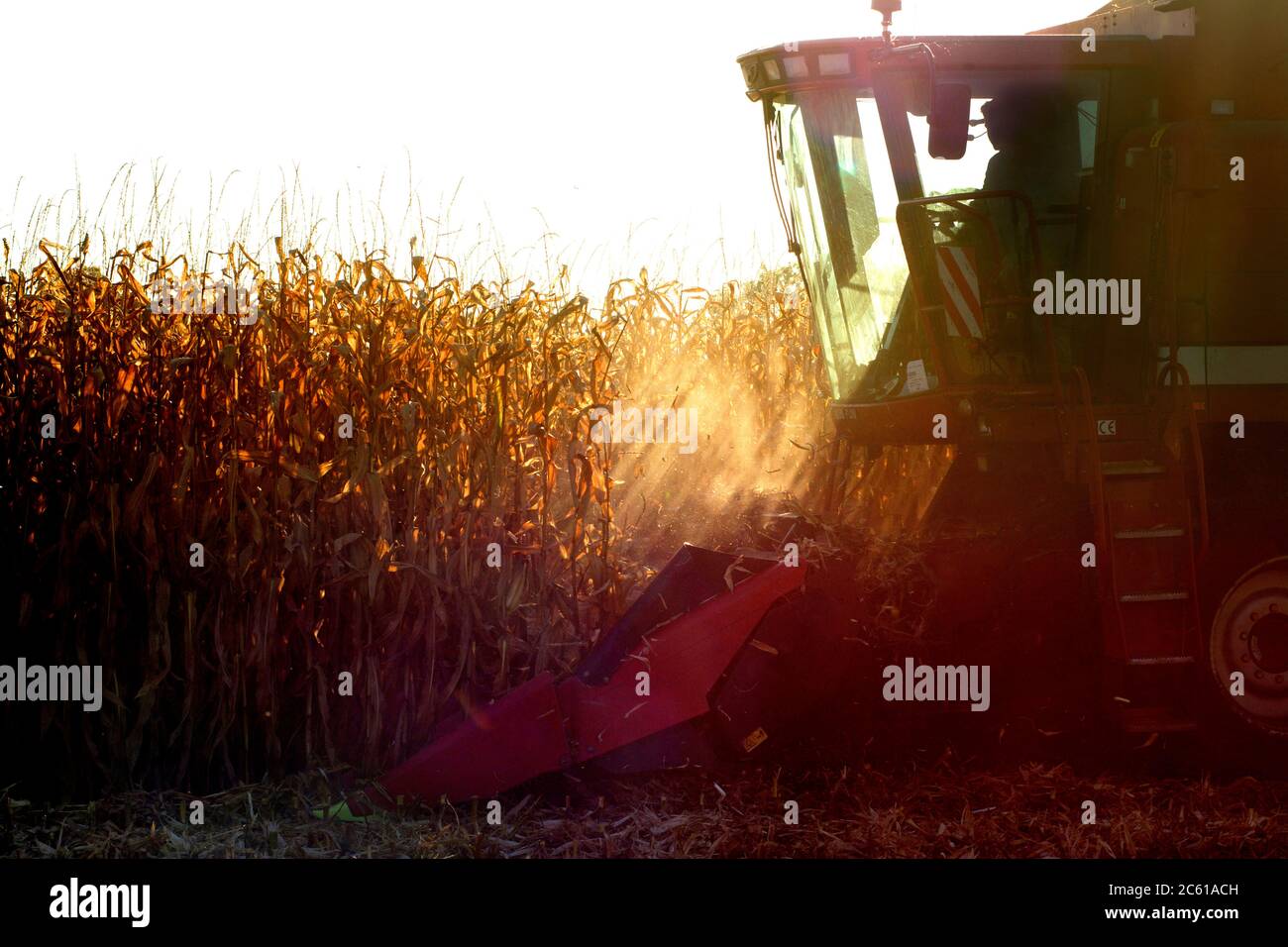 Combine harvester corn hi-res stock photography and images - Alamy