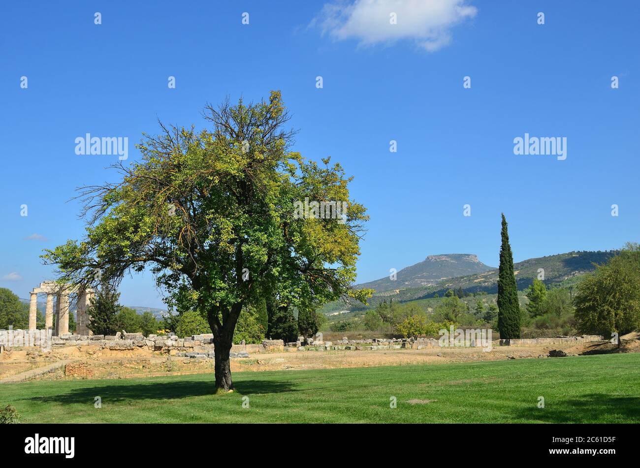 Classical greek landscape, alone tree on a green lawn, mountain and ...