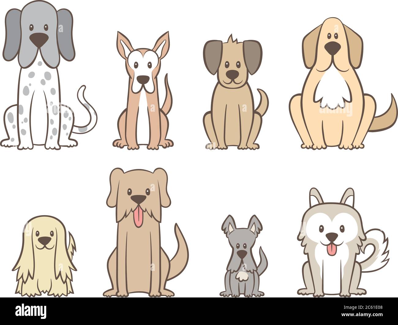 Collection of different kinds of dogs isolated on white background ...