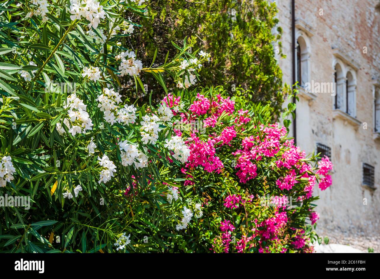 Castel Brando. Evolution of a stately castle. Treviso Stock Photo - Alamy
