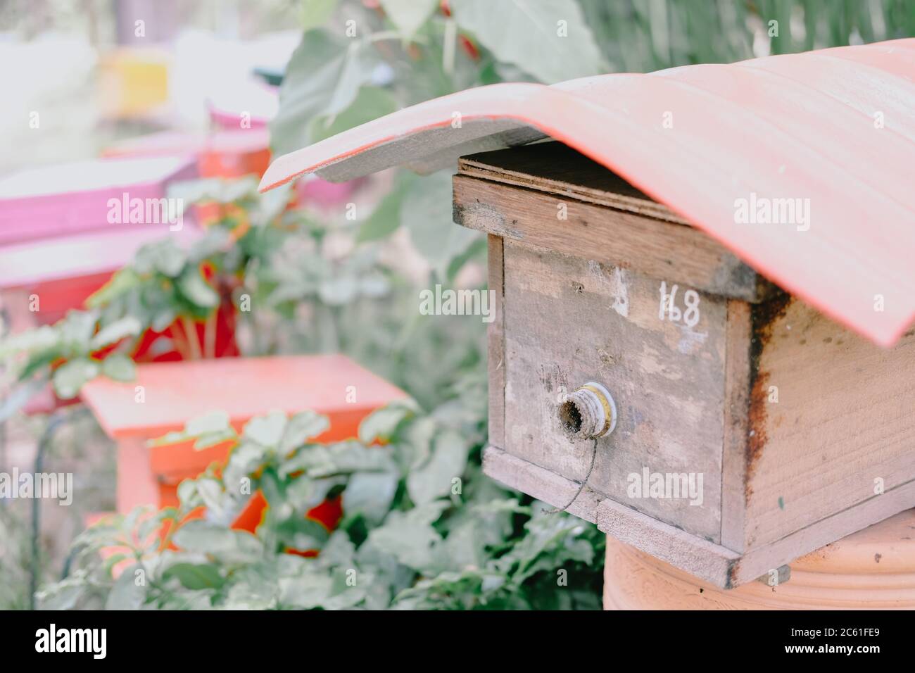 honey bee beehive. bees house in garden Stock Photo - Alamy