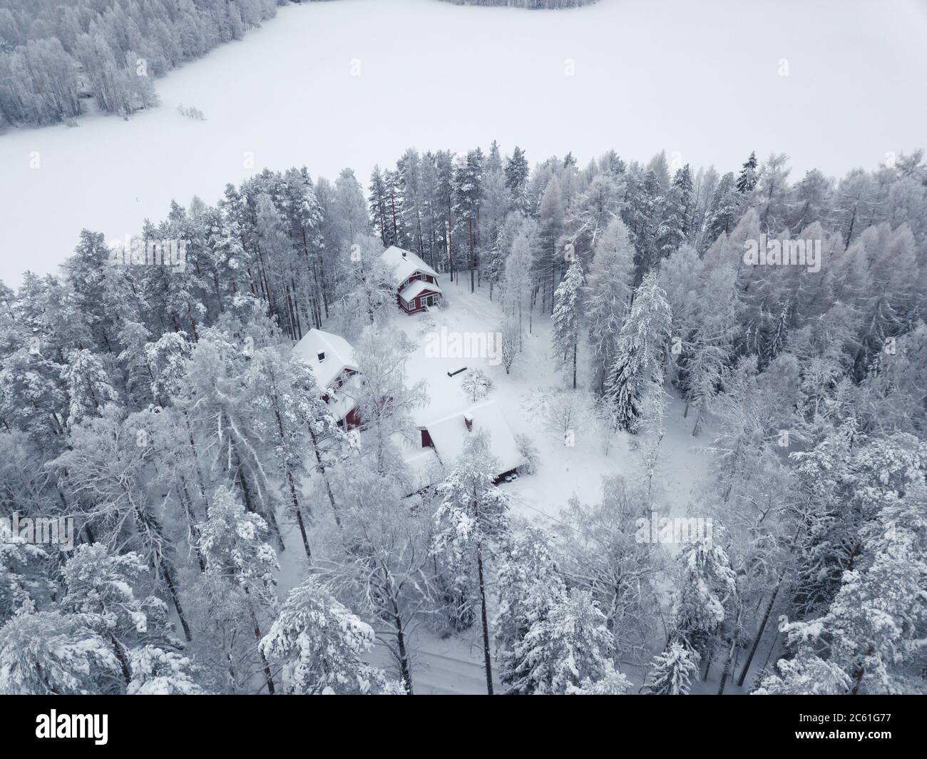 Finland forest hi-res stock photography and images - Alamy