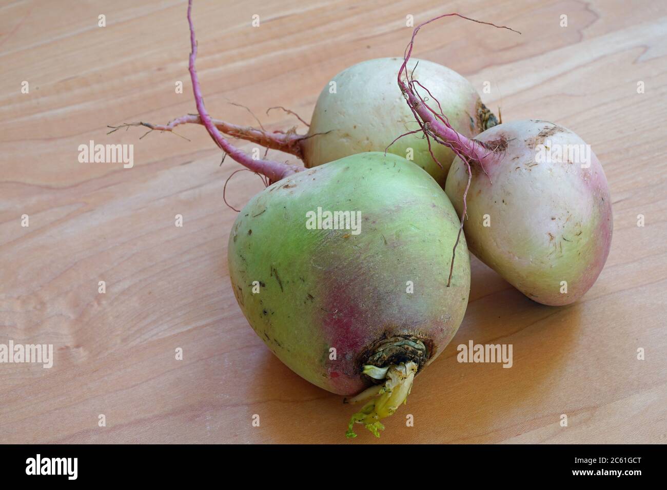 Green and pink watermelon radishes vegetables Stock Photo - Alamy