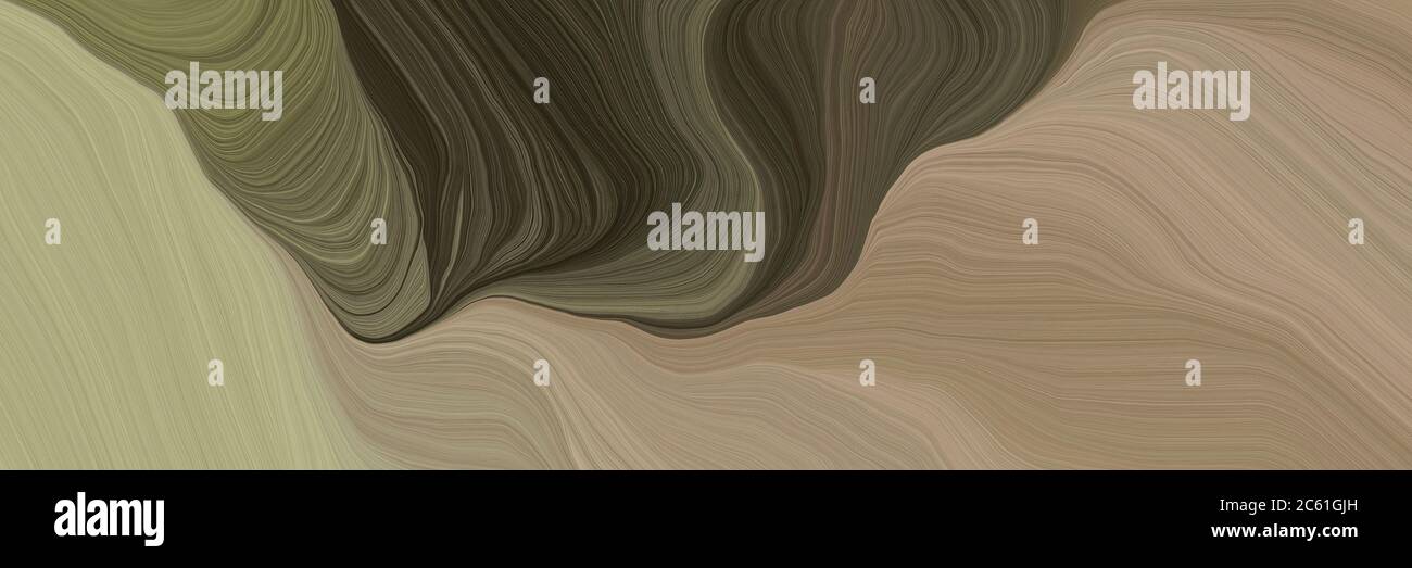 unobtrusive header with elegant curvy background illustration with gray ...