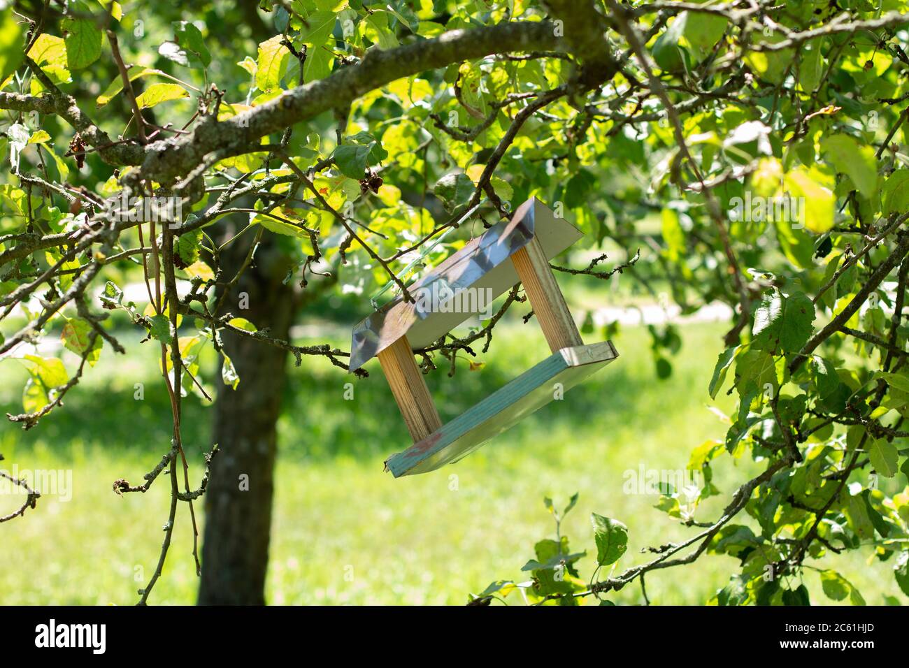 bird feeder in tree garden Stock Photo - Alamy