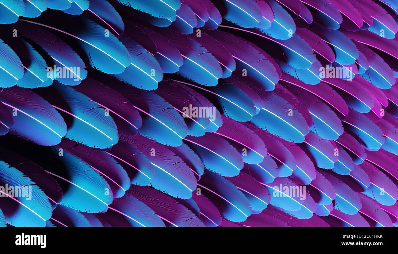 Beautiful Background Of Blue Iridescent Feathers Stock Photo - Alamy