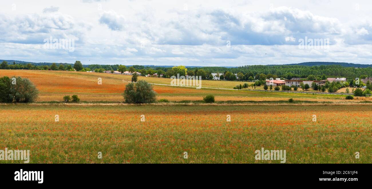 Beautiful rural view of farmland fields with poppy flowers and village ...