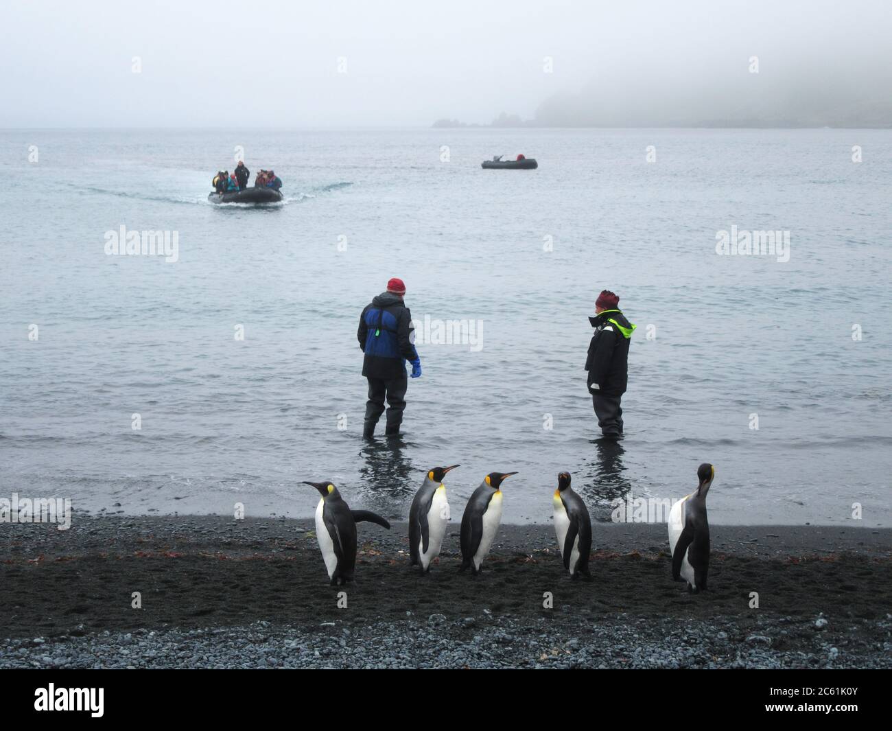 Zodiac landing hi-res stock photography and images - Alamy