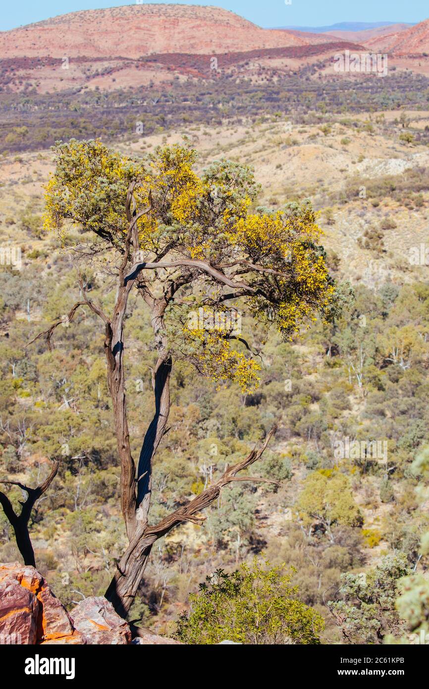 Serpentine Gorge Northern Territory Australia Stock Photo - Alamy