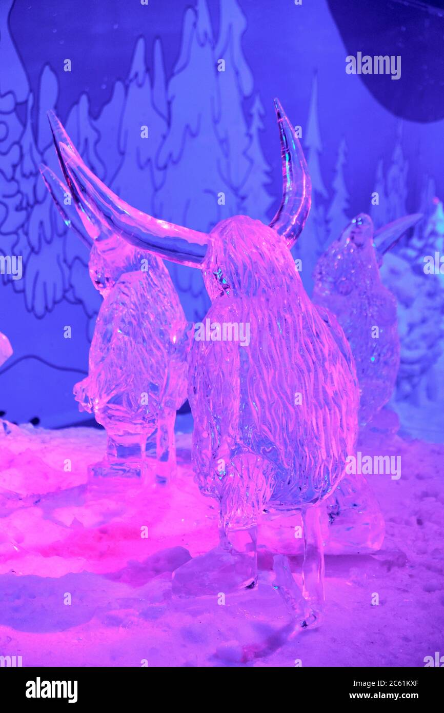 Leppävirta / FINLAND - January 6, 2019: The 1st Moomin Ice Sculpture ...