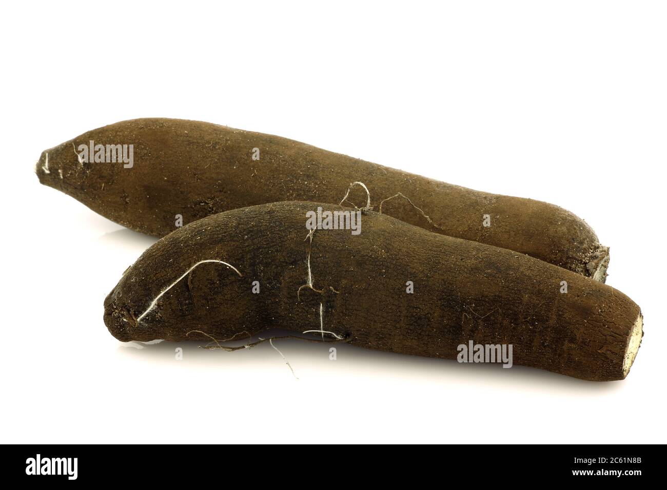 long black winter radishes (Raphanus sativus subsp. niger) and a cut ...