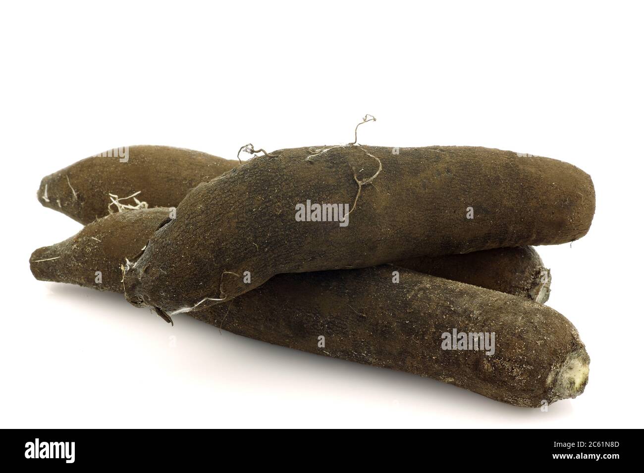 long black winter radishes (Raphanus sativus subsp. niger) and a cut ...