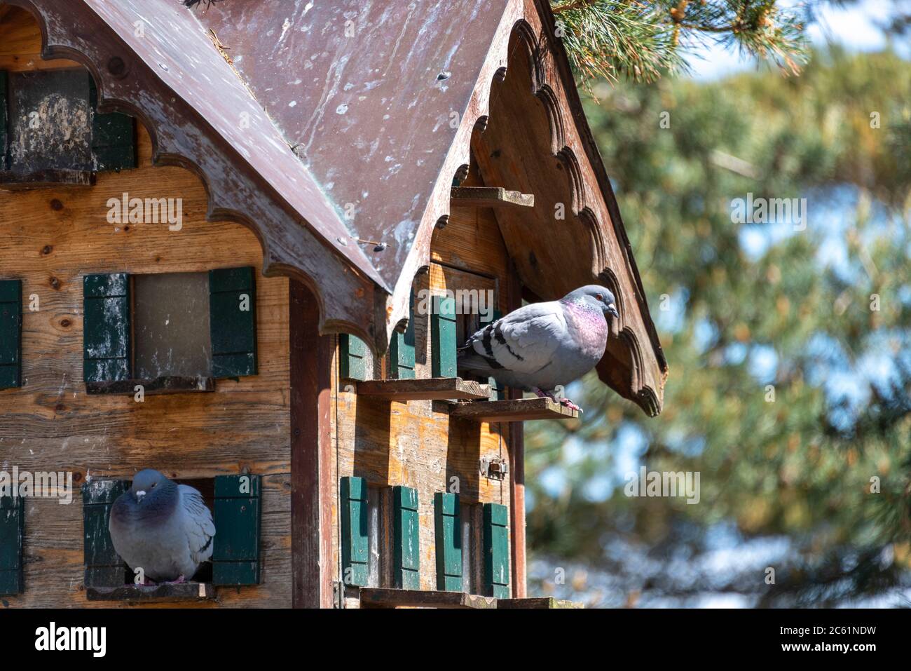 Dovecote stands hi-res stock photography and images - Alamy