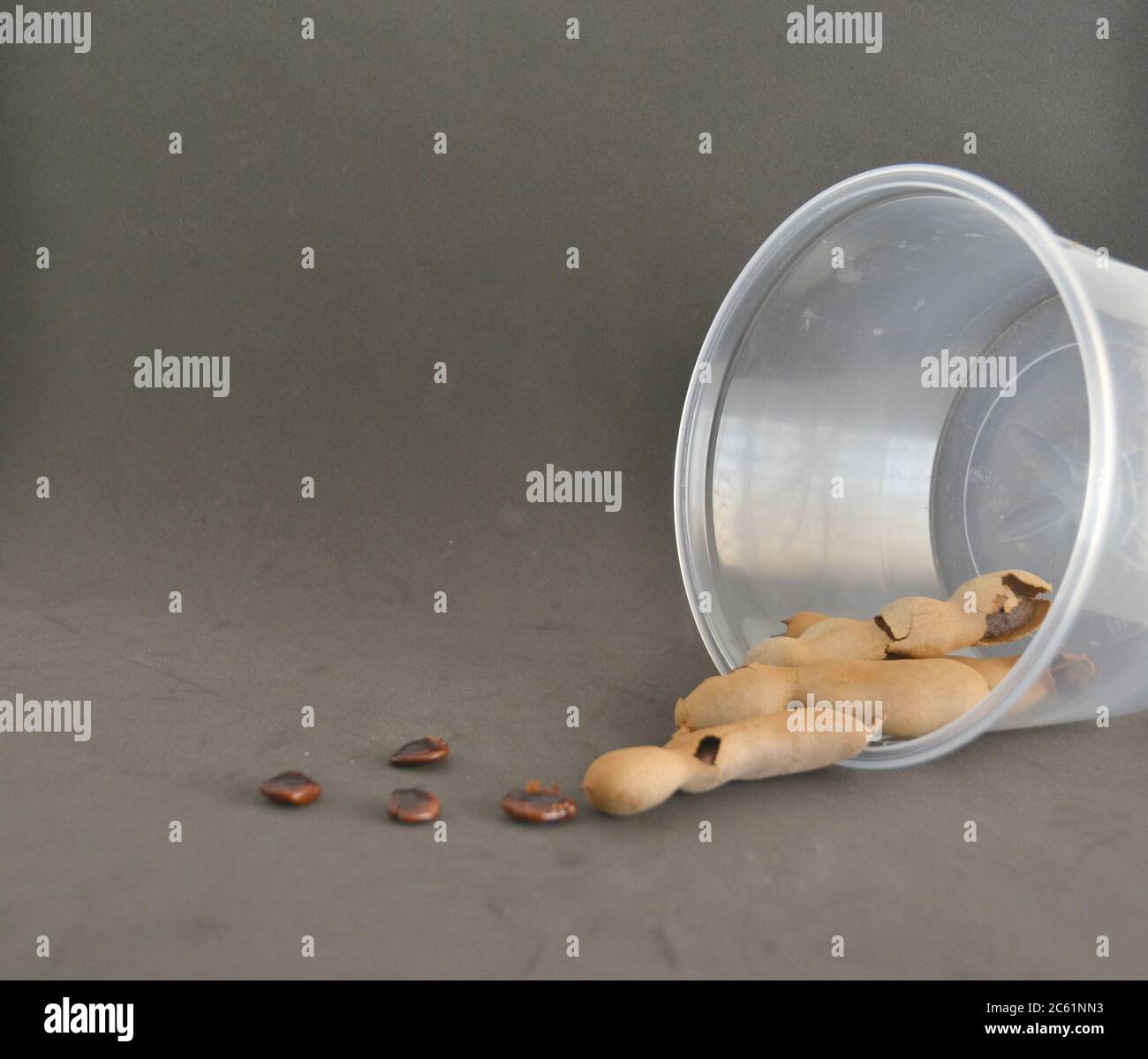 Tamarine tree hi-res stock photography and images - Alamy