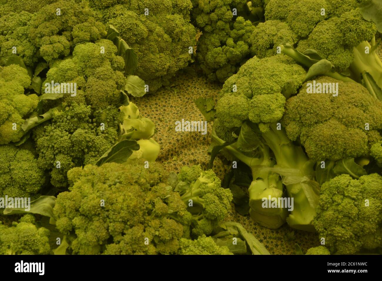 Fiber producers hi-res stock photography and images - Alamy