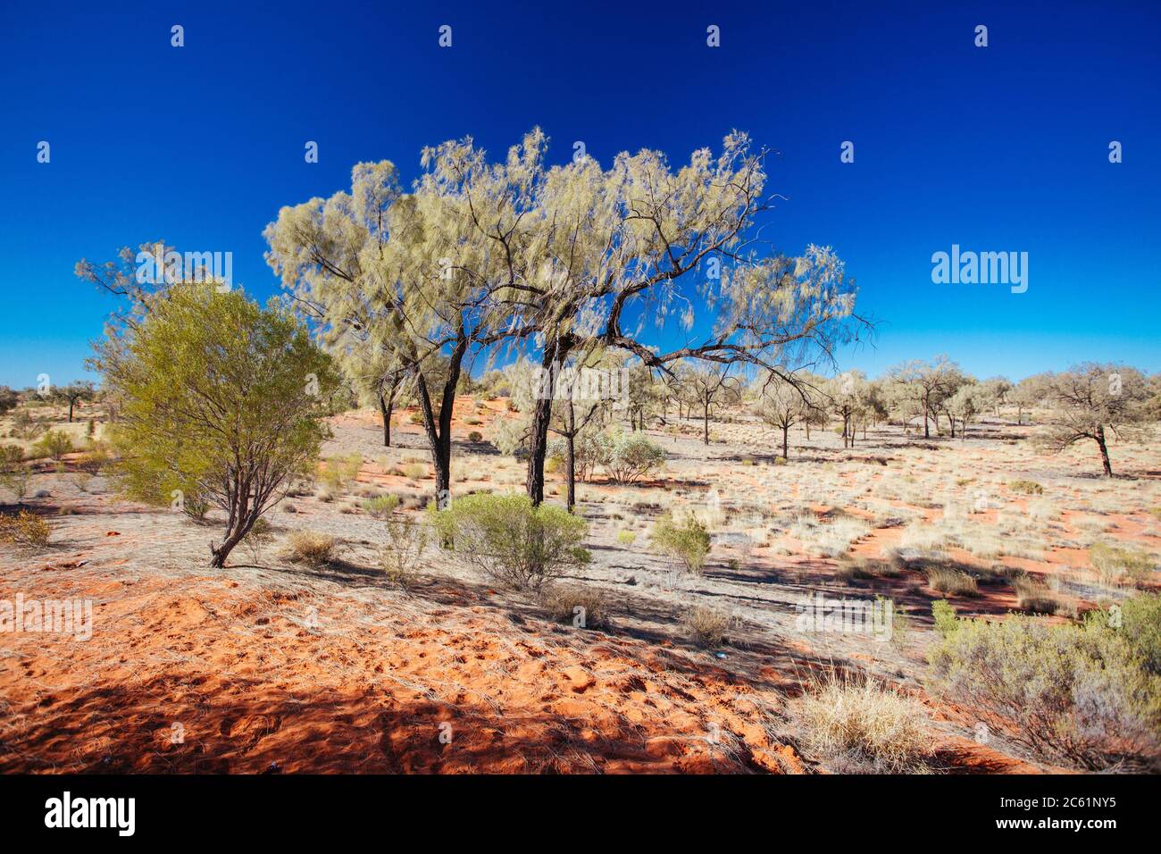 Outback Landscape in Northern Territory Australia Stock Photo - Alamy