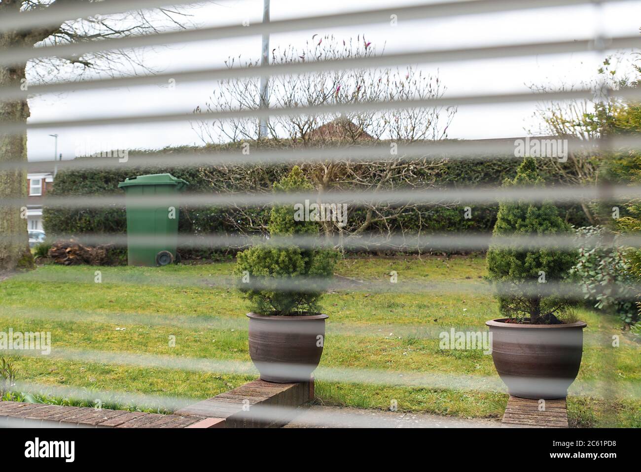 Outside garden of conifer trees, lawn and hedge through window covered ...