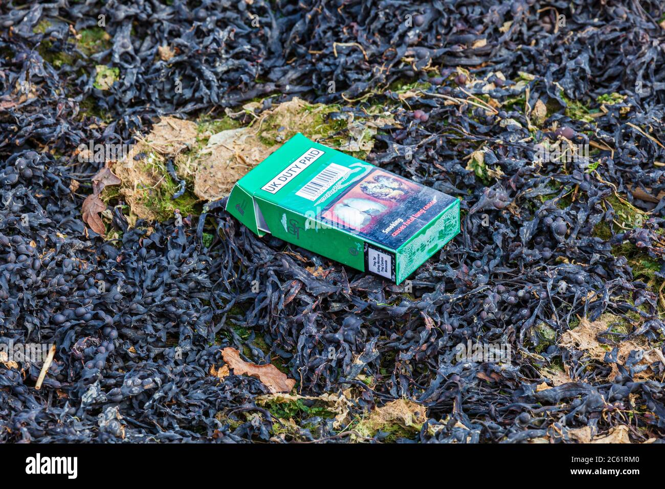 Cigarette packet thrown away hi-res stock photography and images - Alamy