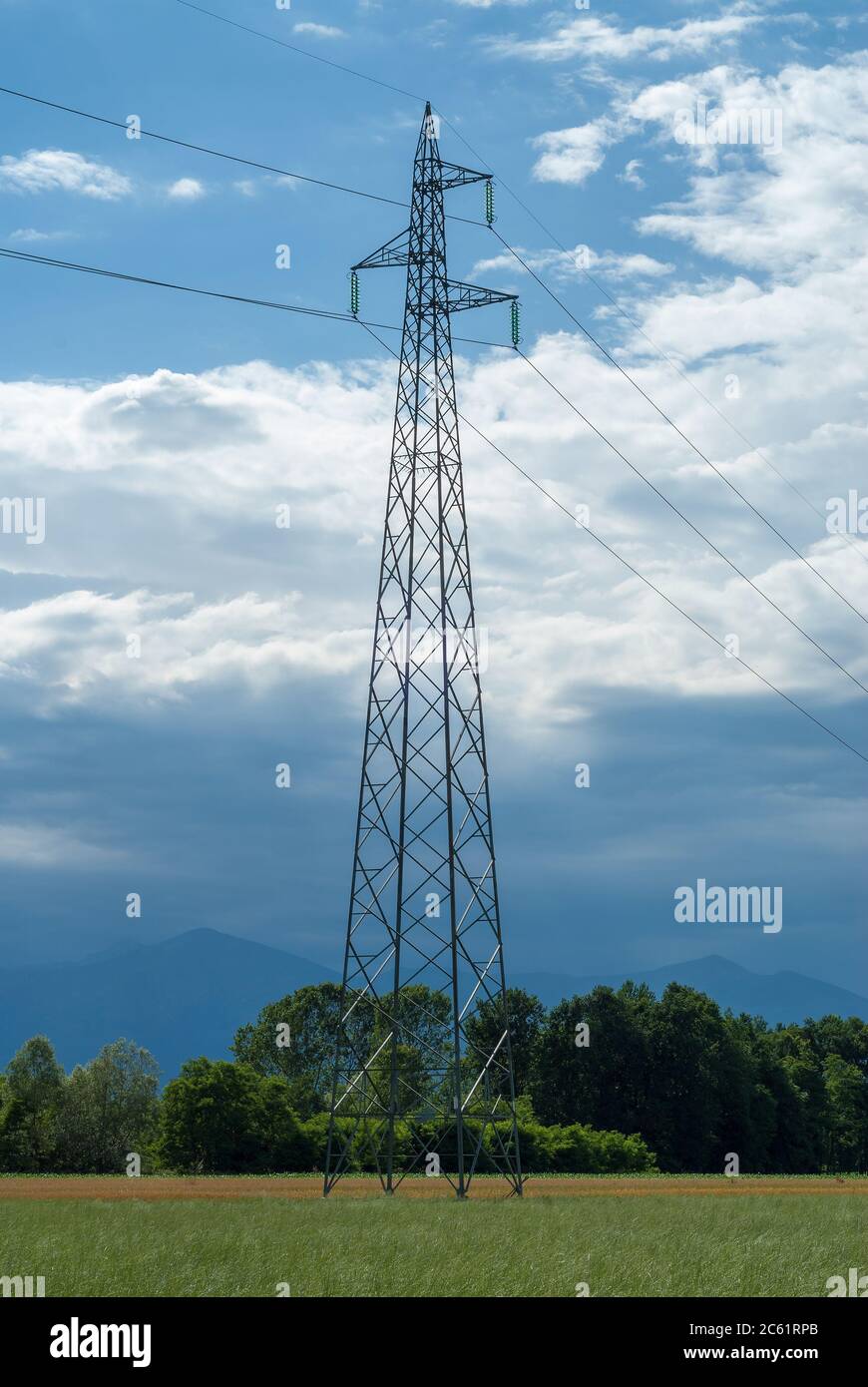 Metal trellis for high voltage overhead power lines in a country meadow ...