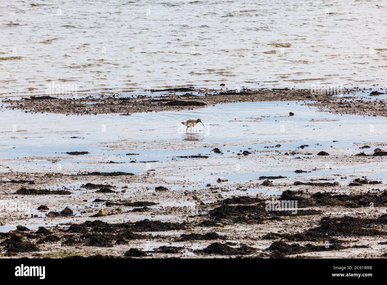 Portchester hampshire england hi-res stock photography and images - Alamy