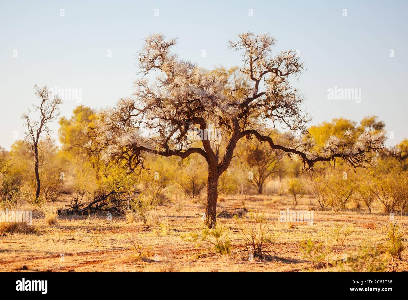 Ancient australian landscape hi-res stock photography and images - Alamy