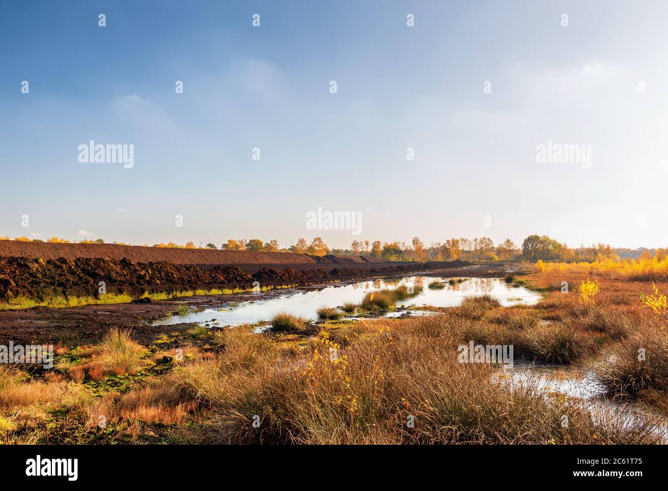 Post mining land at a peat excavation site in northwestern Germany ...