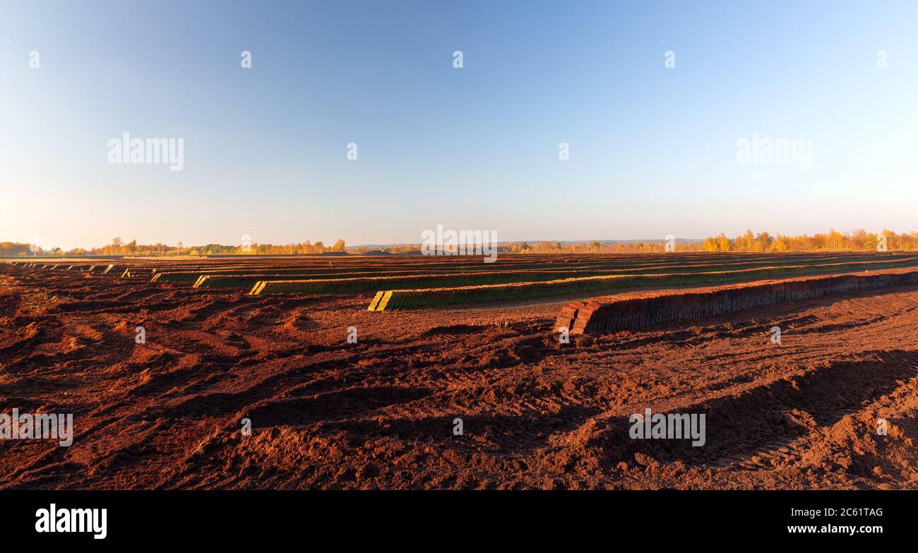 Rows of cutted peat at an excavation side in a peat bog at Northwestern ...