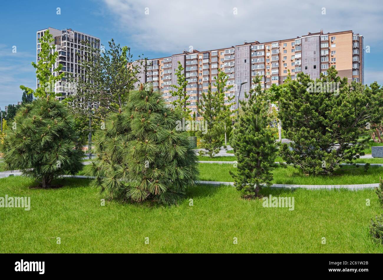Young ornamental trees in the courtyard garden of multi-storey ...