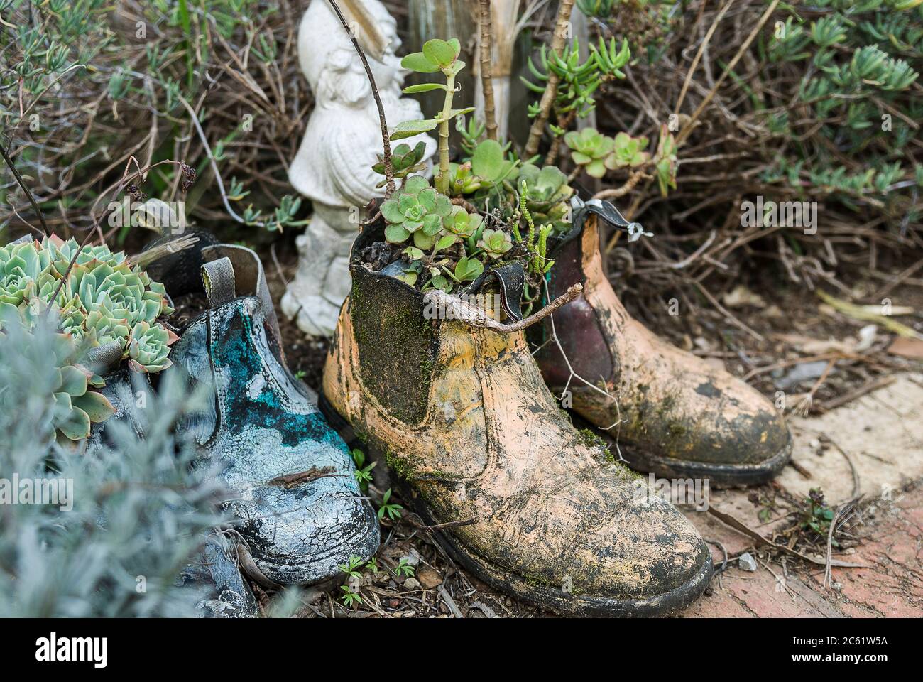 Old boots reused as pot plants Stock Photo - Alamy