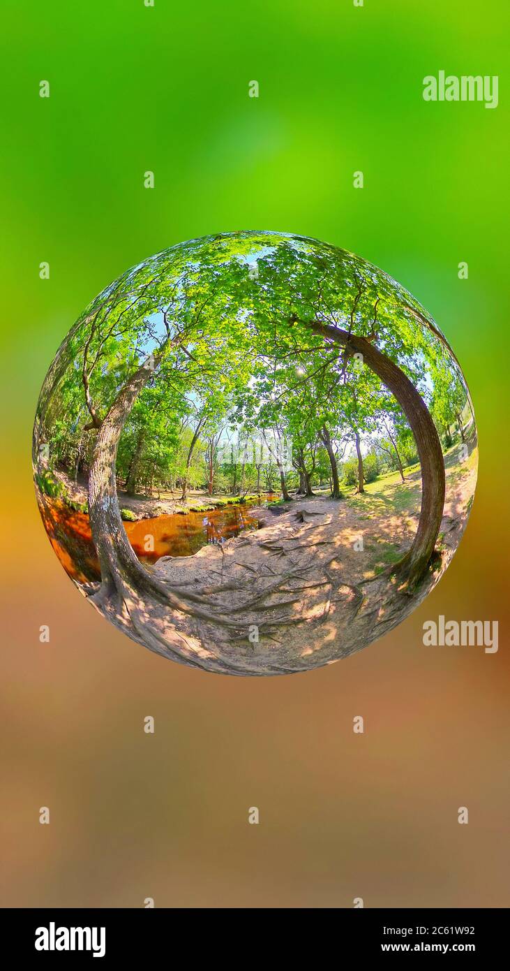 Stream under oak trees in the New Forest Stock Photo - Alamy