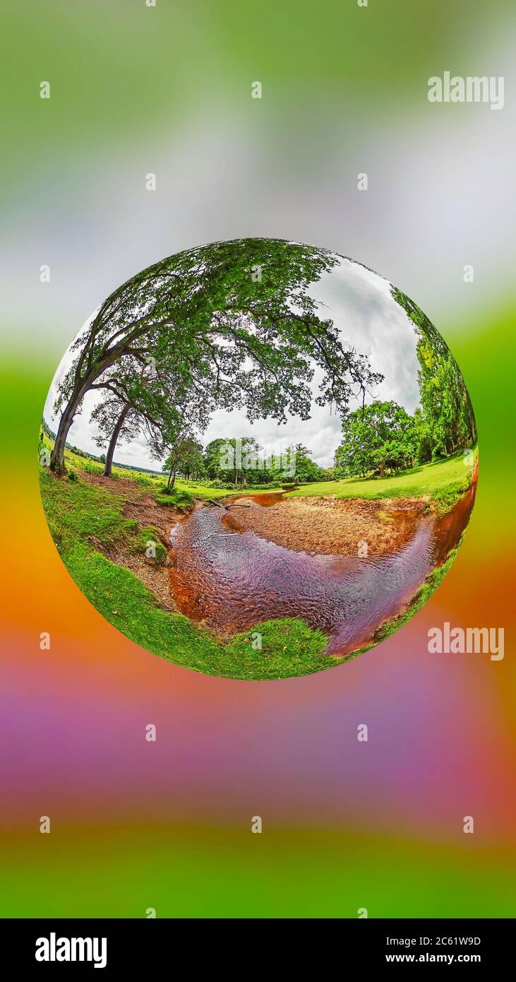 Forest stream in Hampshire Stock Photo - Alamy