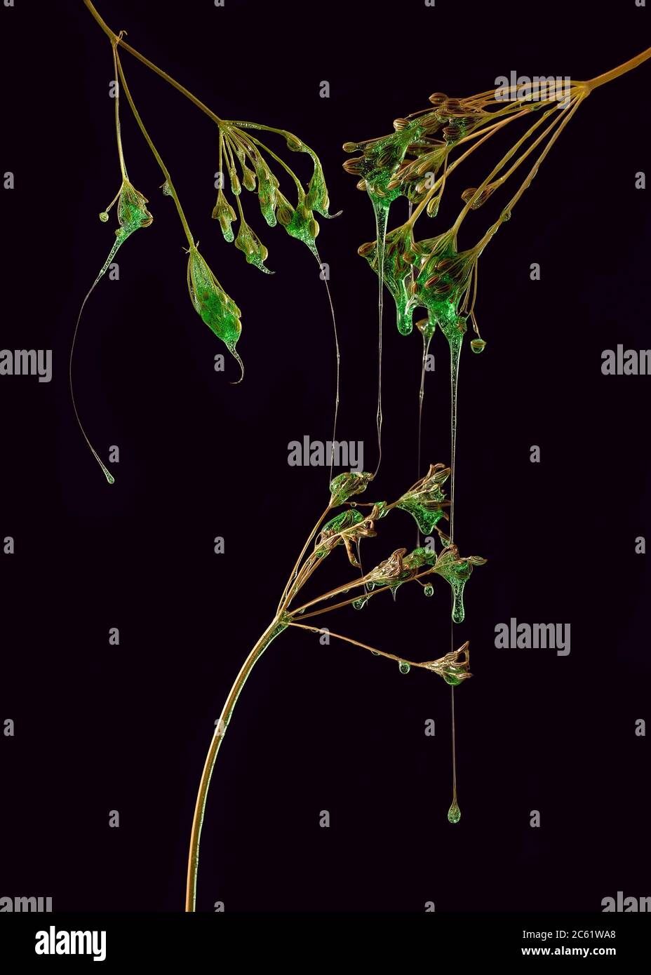 Dripping liquid hi-res stock photography and images - Alamy