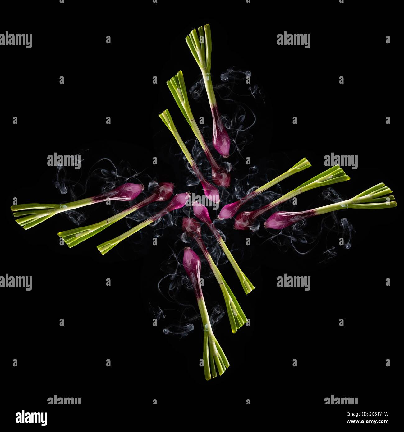 Growing spring onion red hi-res stock photography and images - Alamy