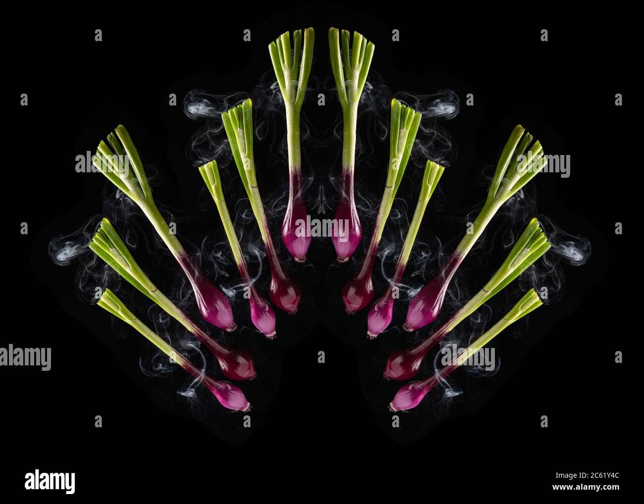 Growing red onions hi-res stock photography and images - Alamy