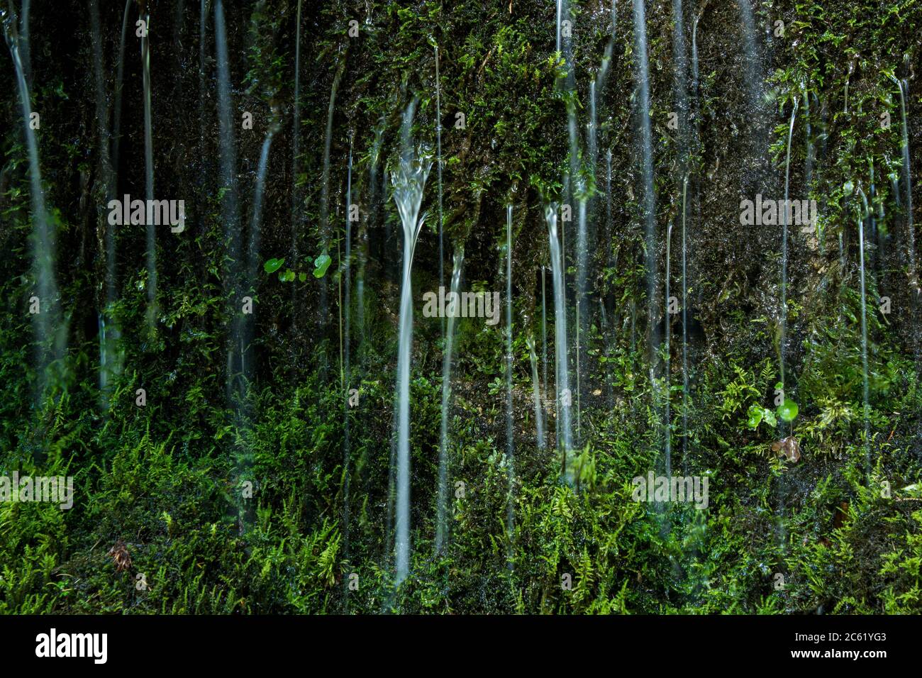 Calming small waterstreams flowing downhill Stock Photo - Alamy