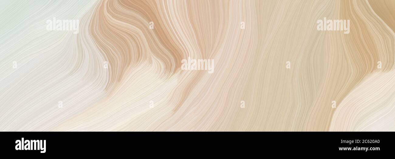 inconspicuous banner with elegant curvy background design with pastel ...