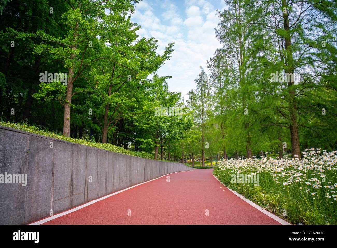 A specific jogging lane in Expo park, in Shanghai, China Stock Photo ...