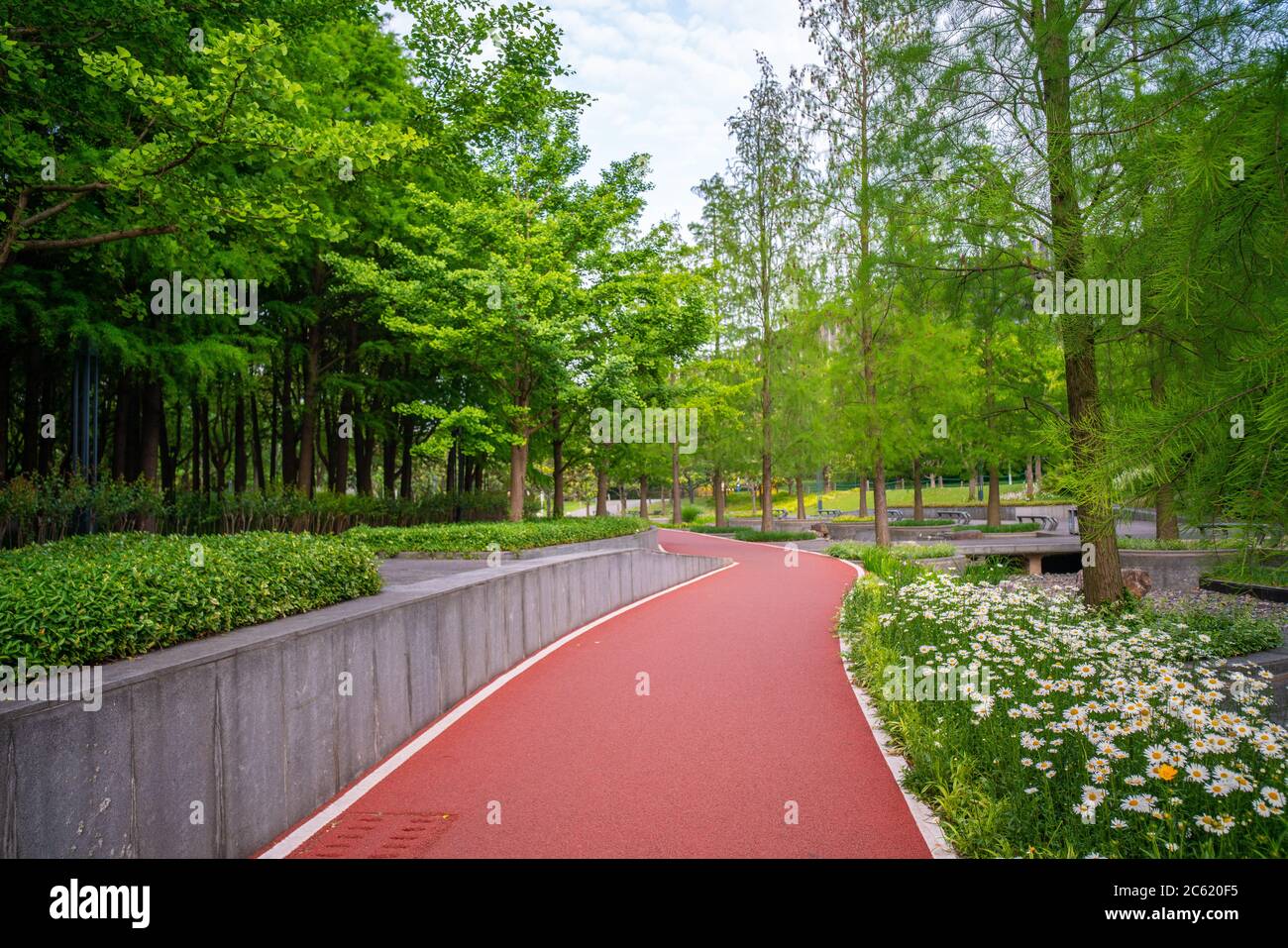A specific jogging lane in Expo park, in Shanghai, China Stock Photo ...