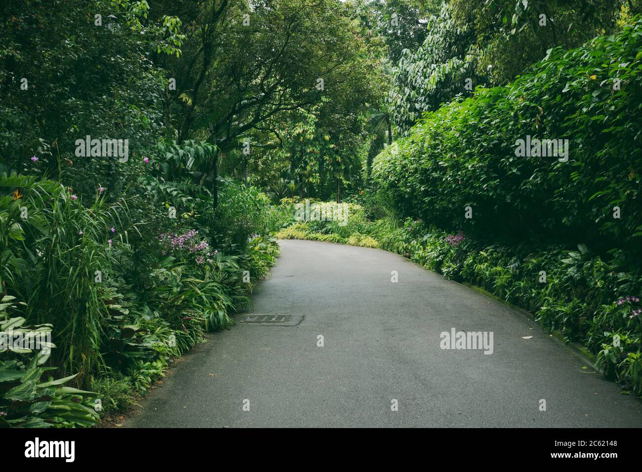 Path with greenery around, Singapore Stock Photo - Alamy